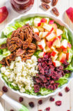 Classic Apple Waldorf Salad Recipe - Averie Cooks