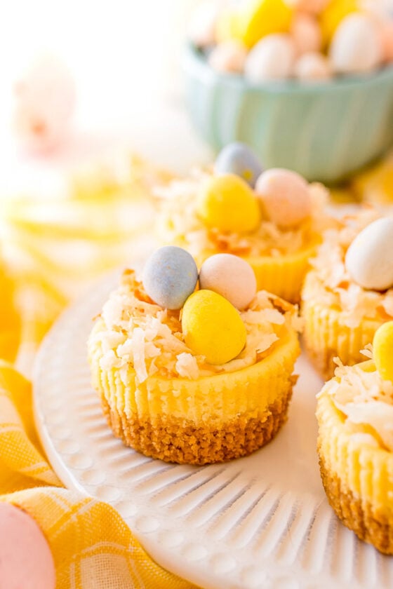 Mini Easter Cheesecake Bites with Shortbread Crust - Averie Cooks