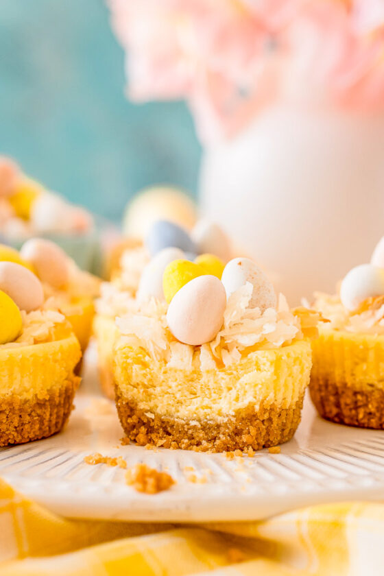 Mini Easter Cheesecake Bites with Shortbread Crust - Averie Cooks