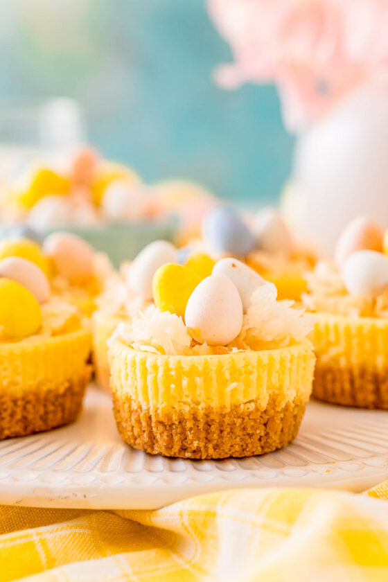 Mini Easter Cheesecake Bites with Shortbread Crust - Averie Cooks