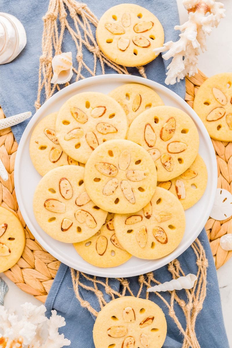 Sand Dollar Cookies ( From Scratch with 6 Ingredients) - Averie Cooks